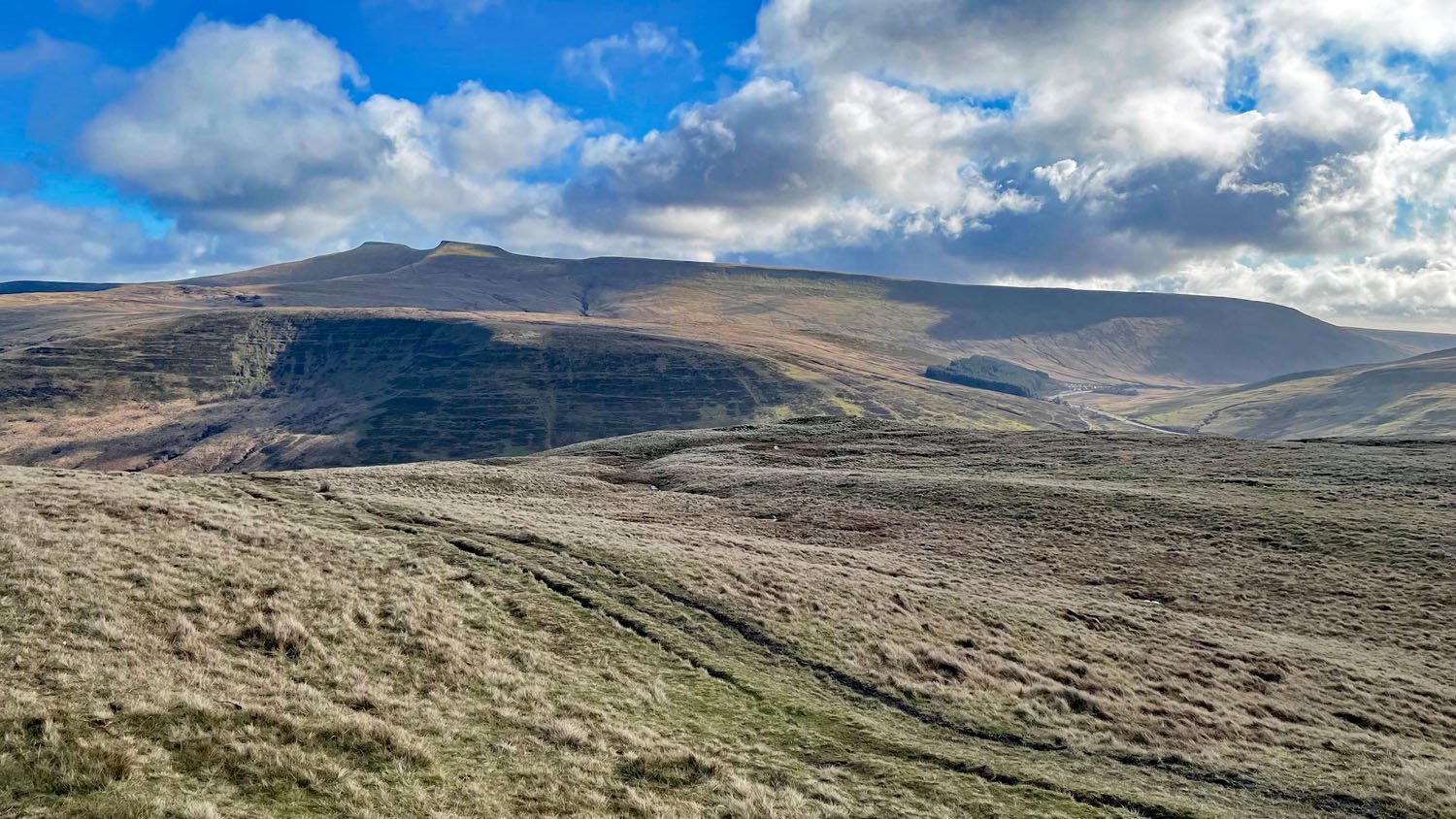 Craig Cerrig Gleisiad – a landscape of the lost world – mountain worthies